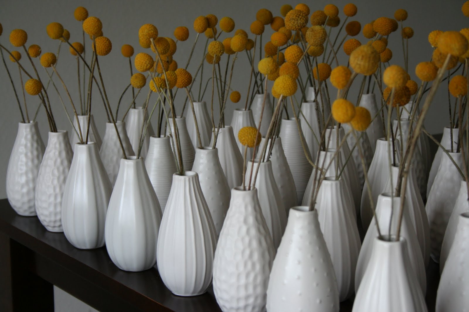 Beauty Of Flowers: Billy buttons