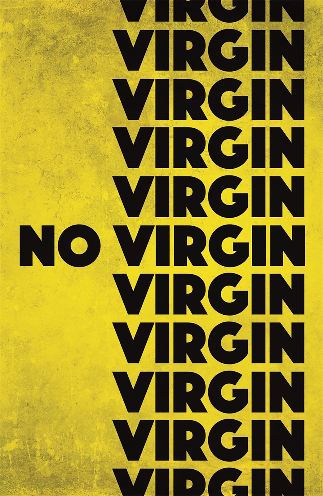 No Virgin Diva Booknerd