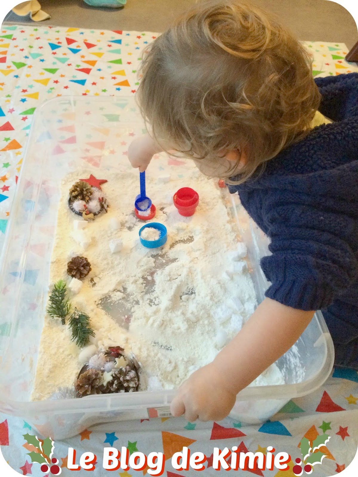 Mon bac sensoriel d'hiver [activité Montessori]