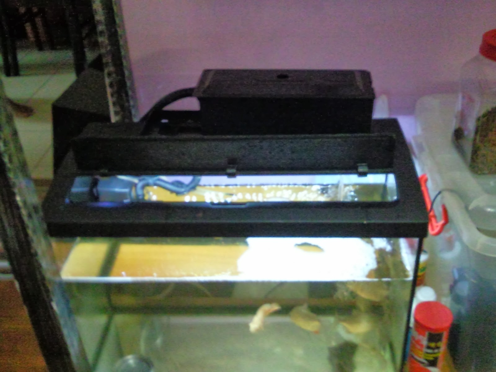 Tropical Fisher Man Fish Tanks And Aquarium CRS: 2 Feet Fish Tank with ...