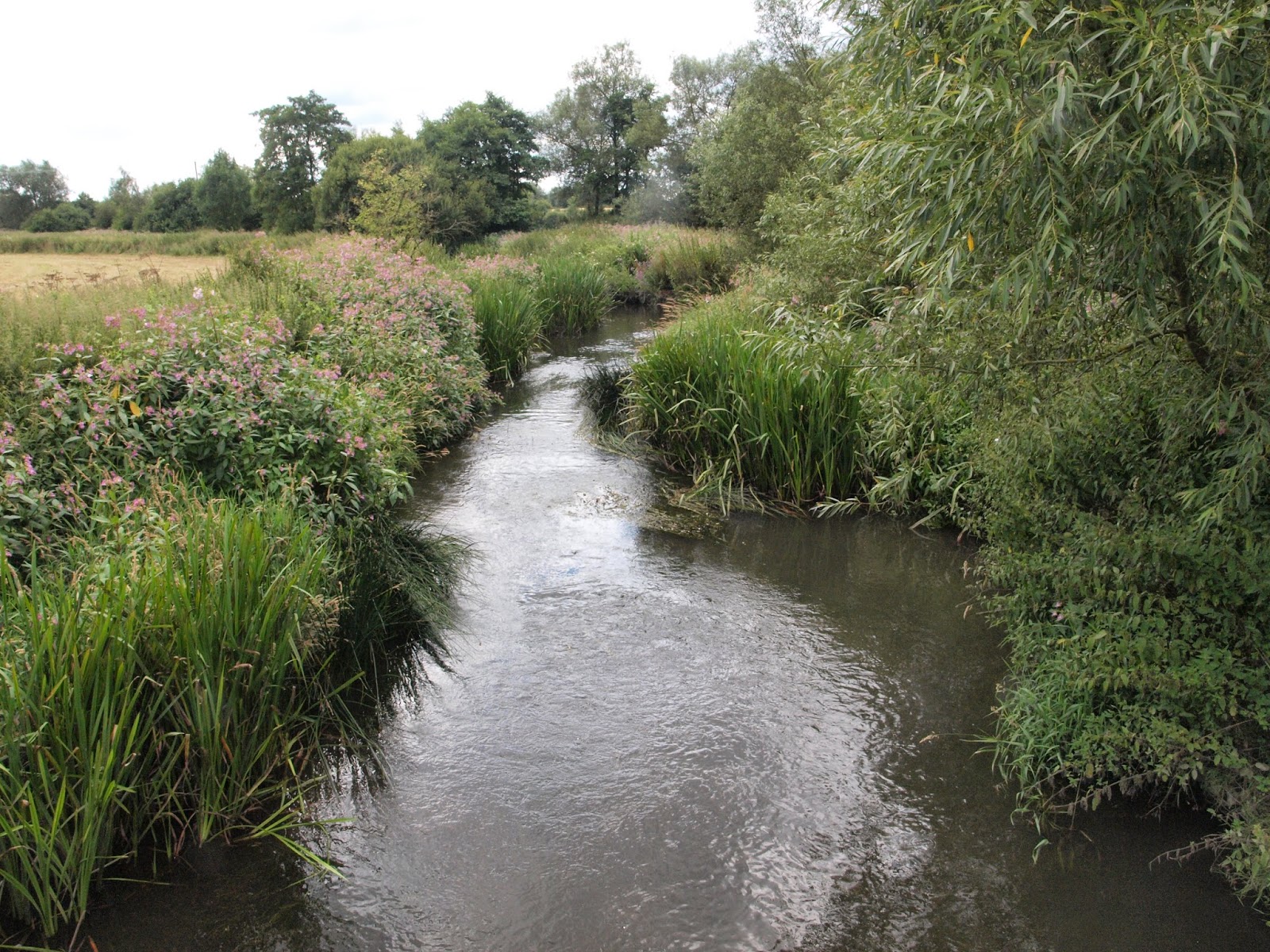 Ragged Robin's Nature Notes: Packhorse Bridge NR, Checking out a Site ...
