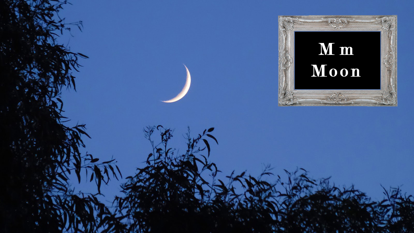 NixPixMix: 'M' IS FOR MOON