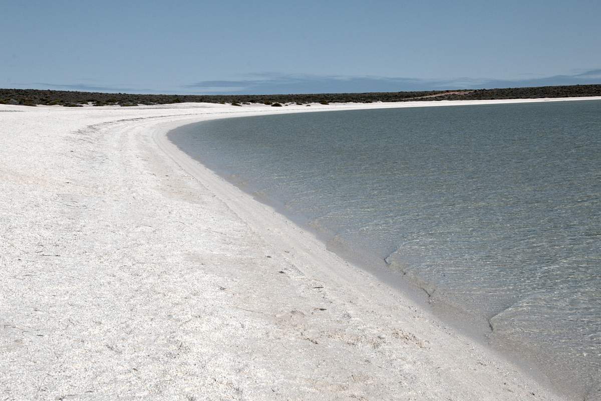 Bushranger: Shark Bay coastlines