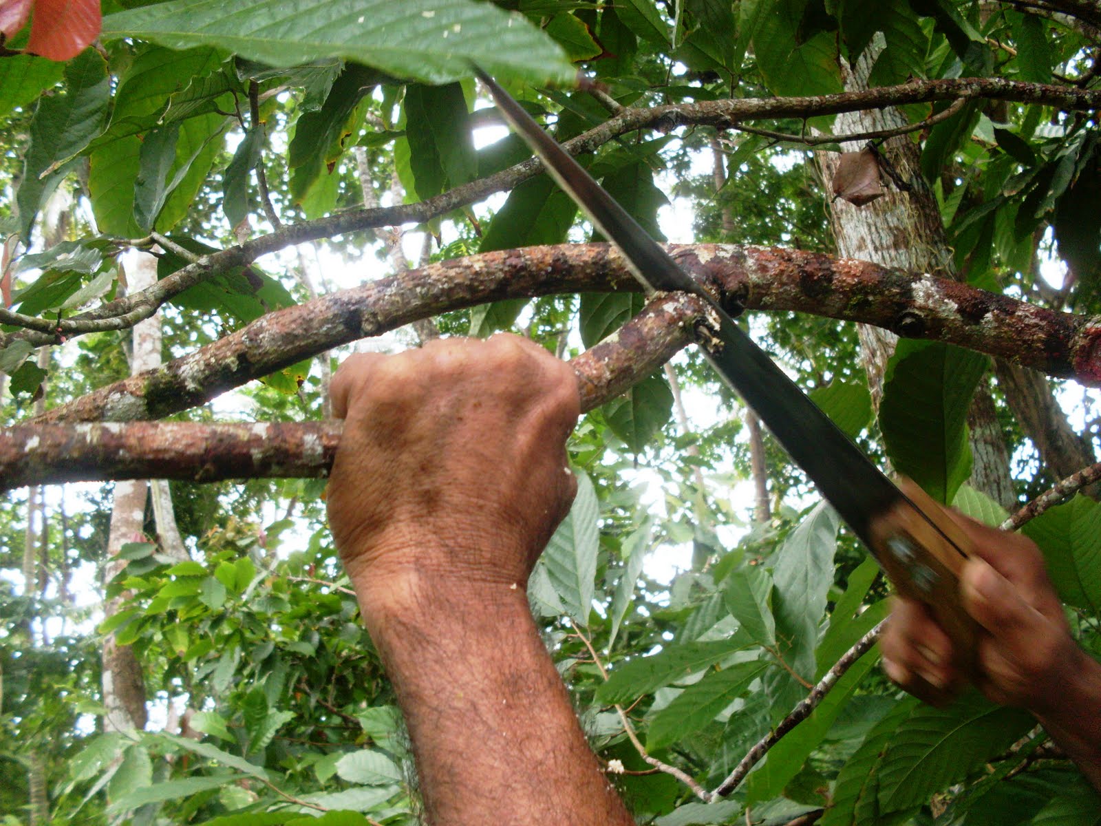 cpb_CocoaPinasBlogs: April 2011