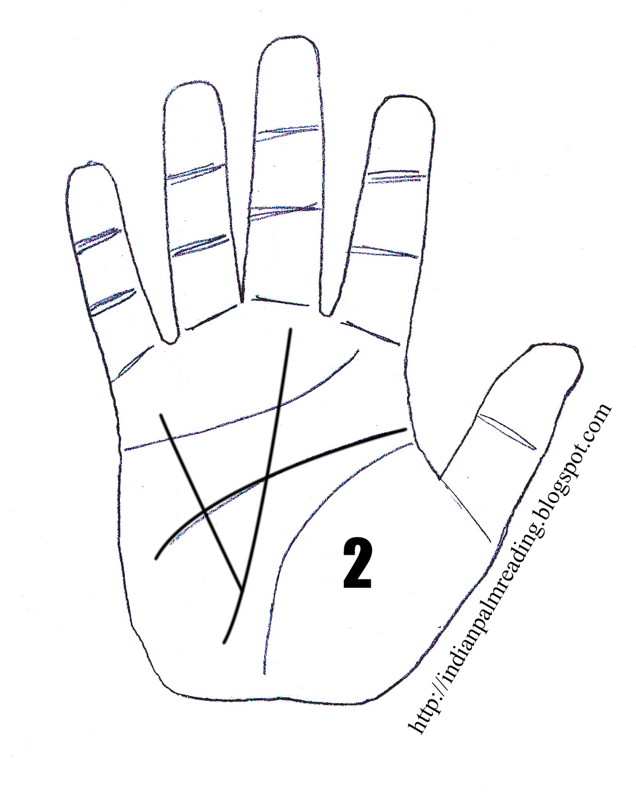 Money Triangle Or Great Triangle On Hand Palmistry ~ INDIAN PALMISTRY ...