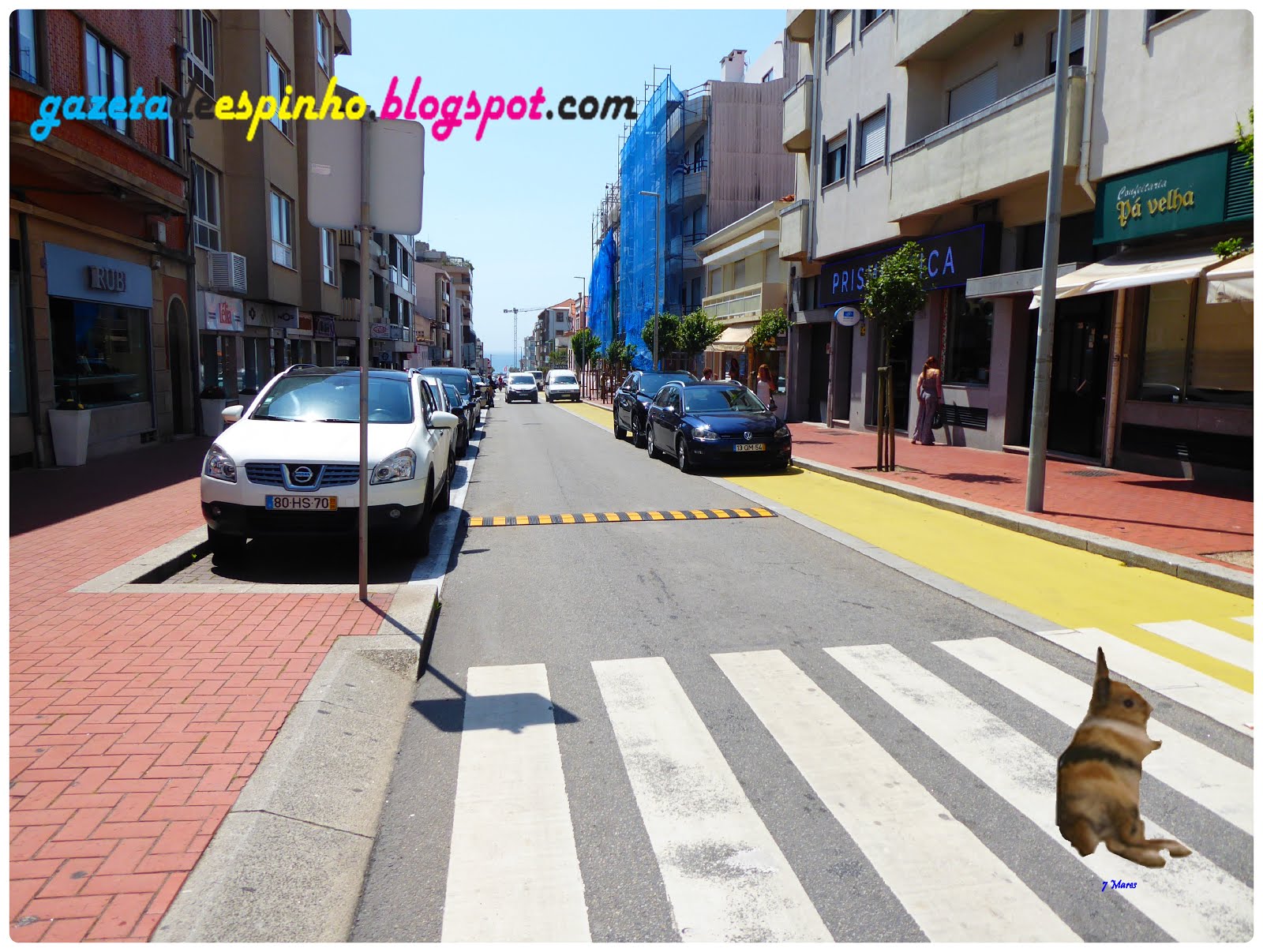 Gazeta de Espinho: Já estão colocar lombas da estrada na Rua 23