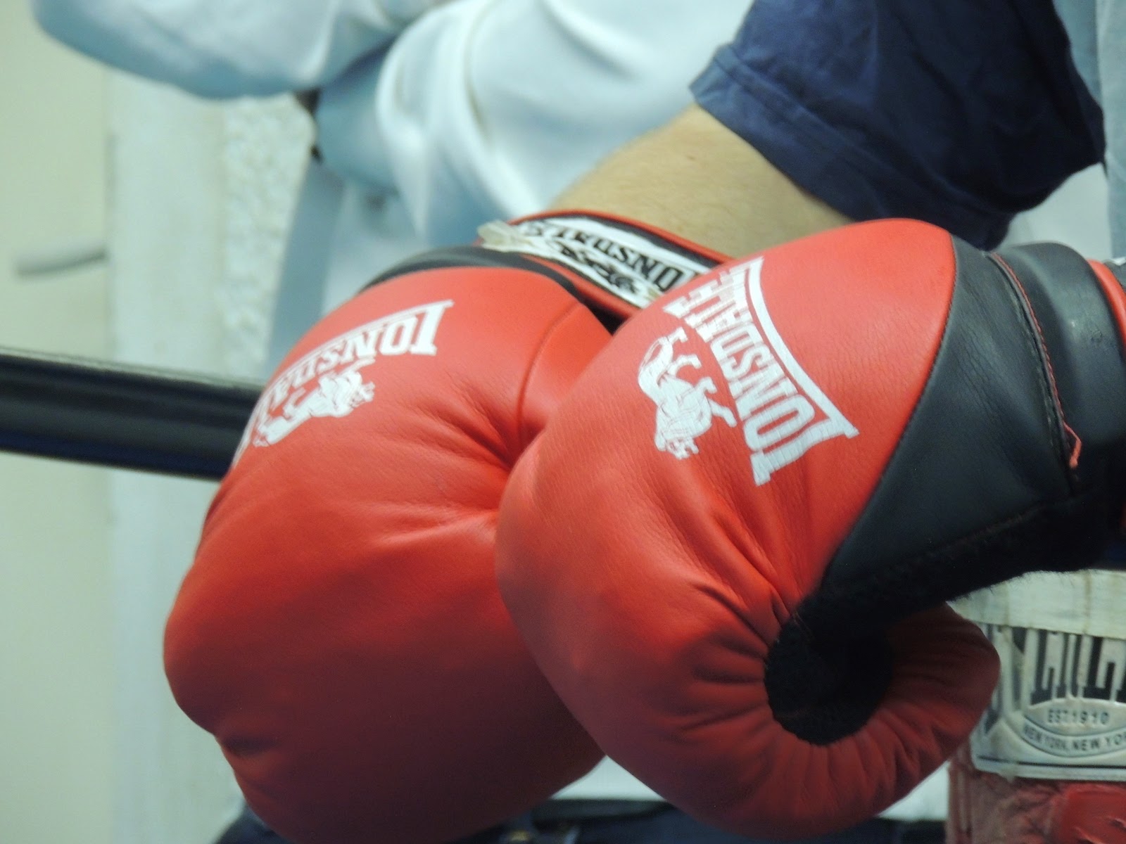 Арматура: Добродошли у клуб Сербиан фајтер: само Бањица, само Рад!