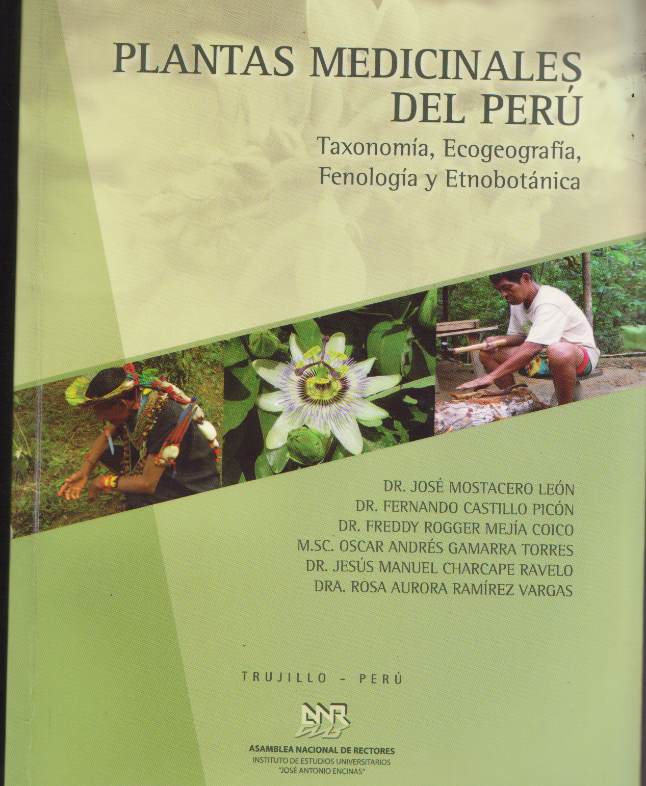 PeruBiólogos: "PLANTAS MEDICINALES DEL PERÚ"