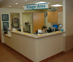 En el Cuarto de Urgencias...: La Organización del Departamento de Urgencias