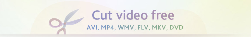 How to cut video quickly & free - Online Solution