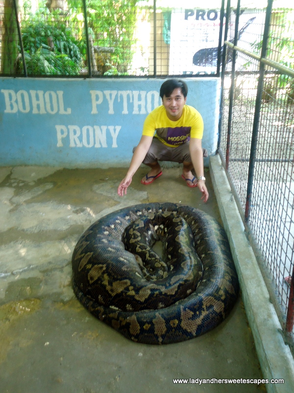 Bohol Countryside Tour | Lady & her Sweet Escapes