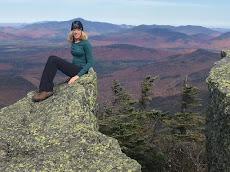 Little Bees from the St. Rita Hive