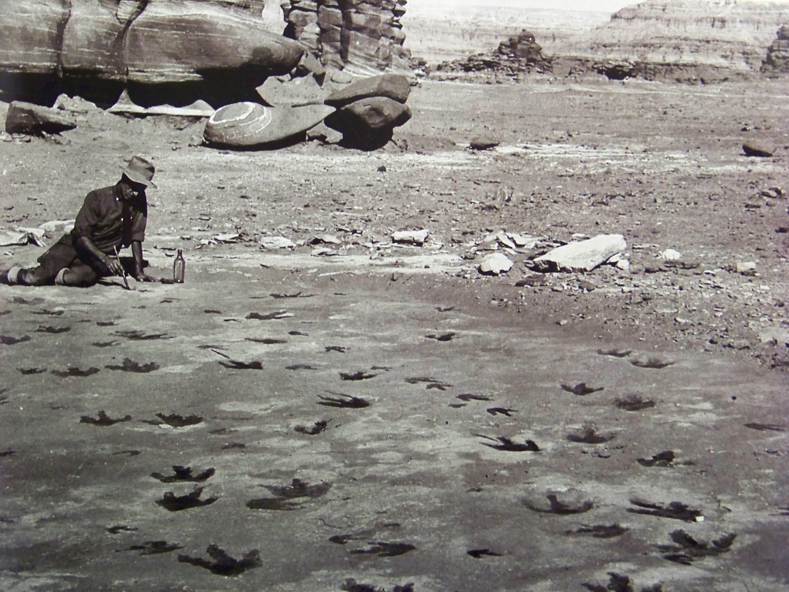Mark Thomas - Geology: ROLAND T. BIRD - Paleontologist