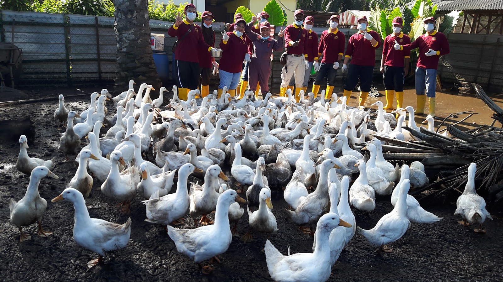 MJ FATONAH SDN BHD: Kursus Usahawan Ternak Ruminan & Unggas KP1510 (21 ...