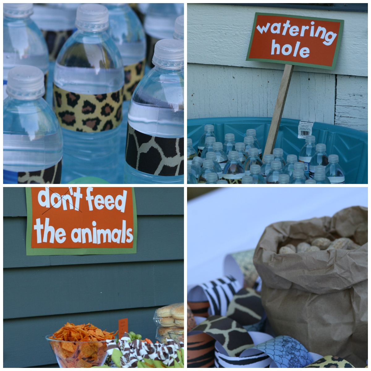 Circle River Creations: Birthday Party: Zoo Party
