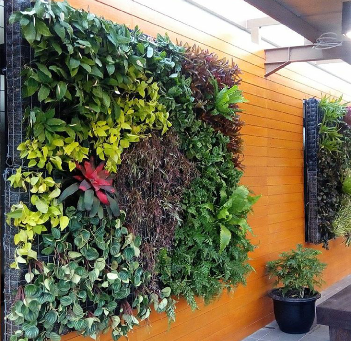 Vertical garden malang - tukang vertical garden makang | Niki garden ...