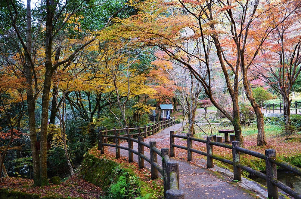 Endless Traveling Map: 7 Places to See Autumn Leaves in Kyushu, Japan