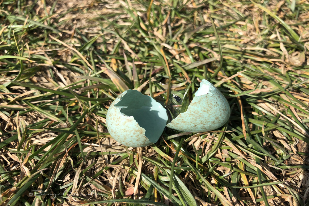 Im Wandel der Zeit 2020 - April