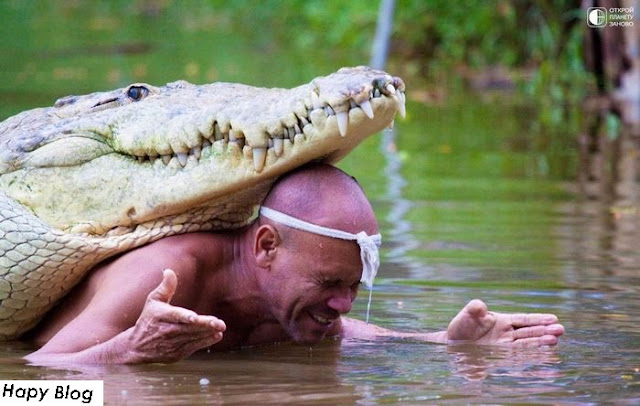 Unusual friend - a crocodile Pocho (photos + video)Happy Blog
