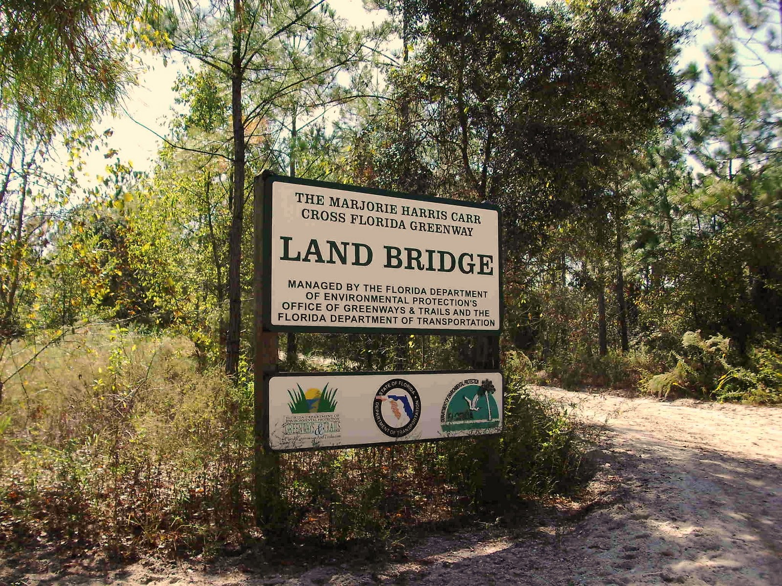 Studio By The Forest