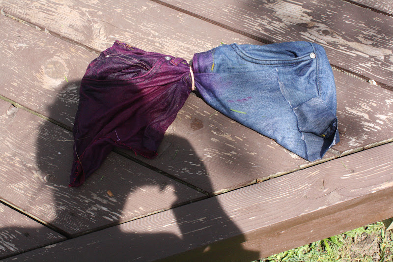 365 days of style: dye day