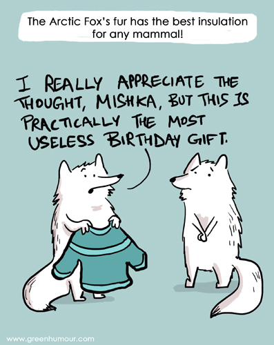 Green Humour: The Fantastic Arctic Fox