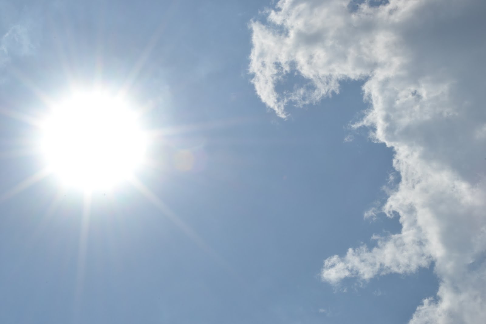 From Horses to Photography: The Glaring Sun