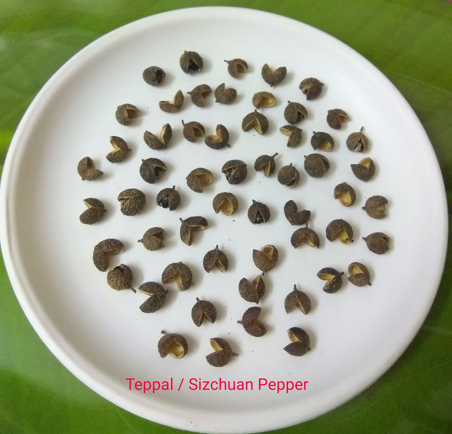 Cooking With Geetha: TEPPAL KADHI / SIZCHUAN PEPPER & COCONUT KADHI