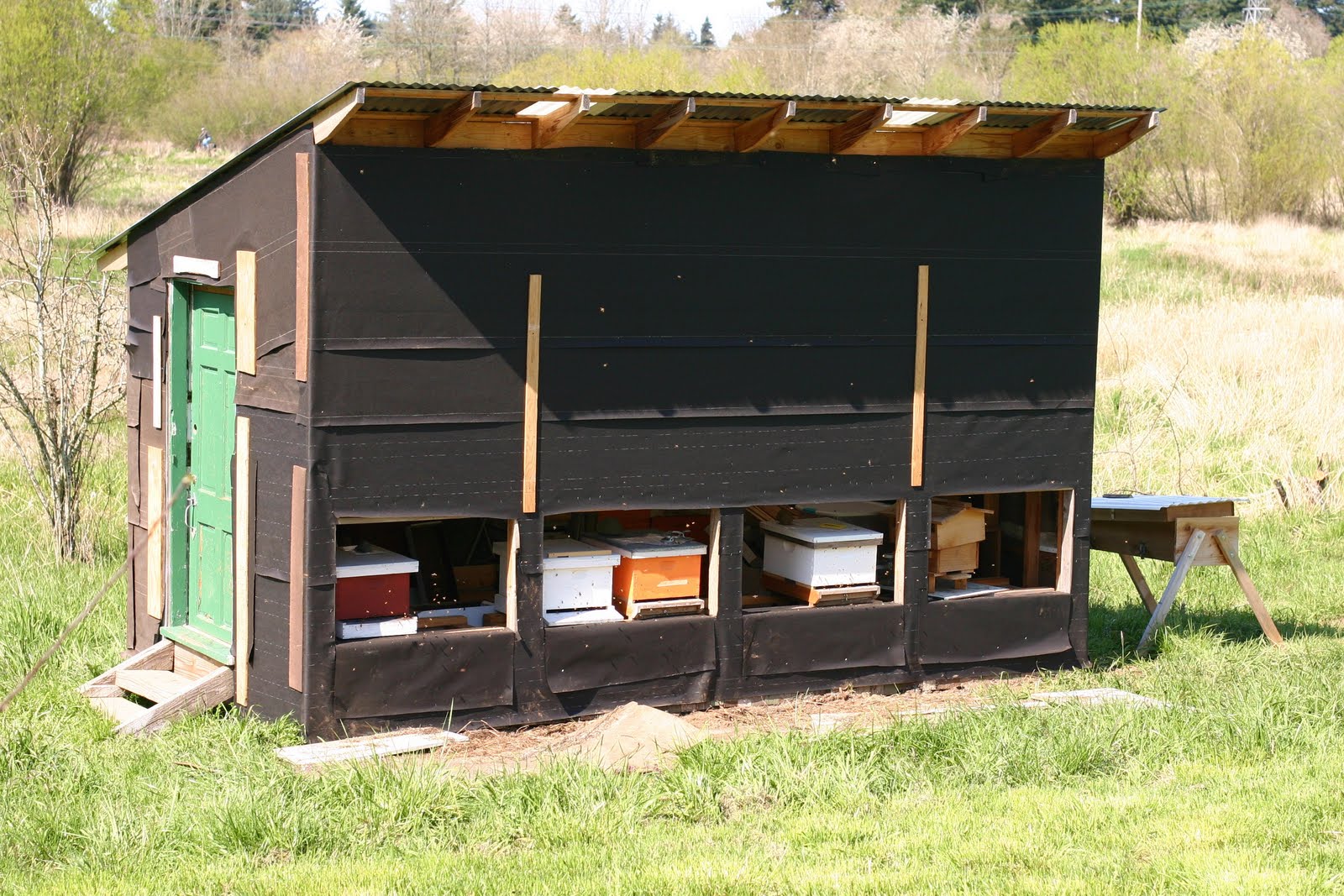 Frontier Dreams: Out and About : Zenger Farms