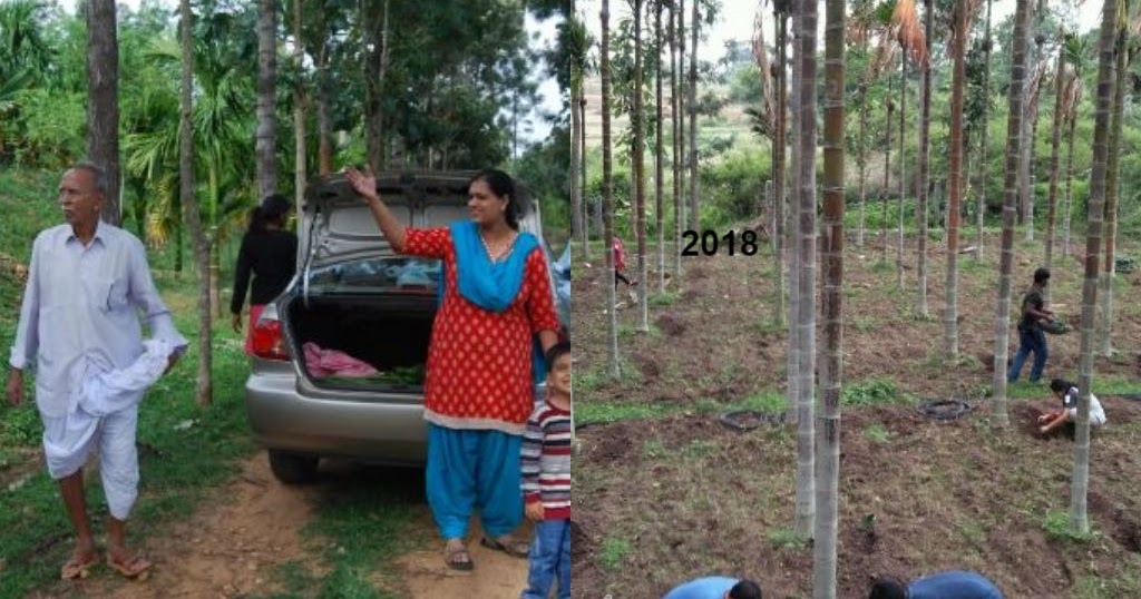 Chiguru Farm - Musings of a farmer: Six years into farming