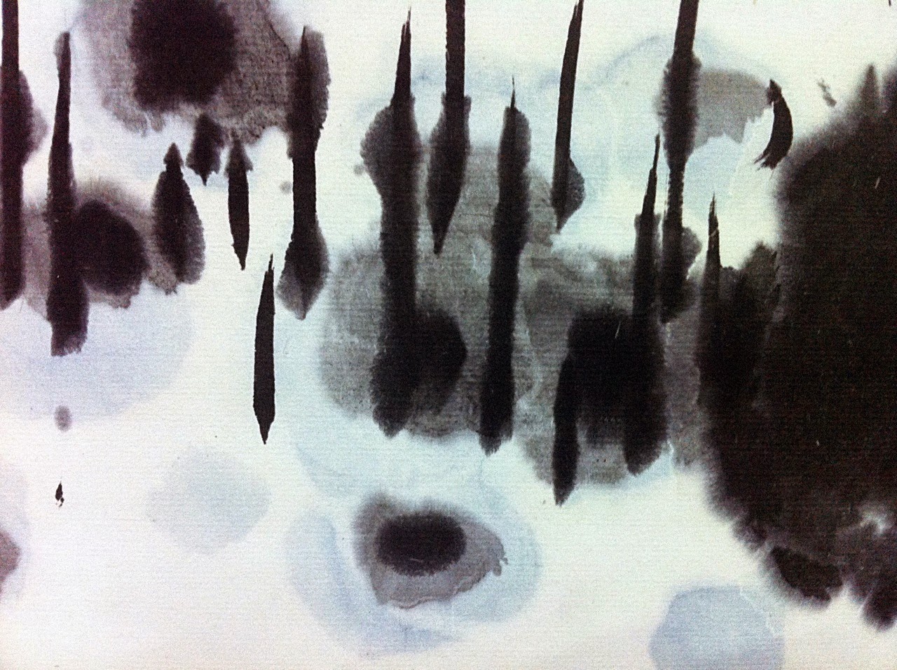 RODOLFO NAVARRO ART: ANÁLISIS SOBRE LA TÉCNICA DE LA "TINTA CHINA"