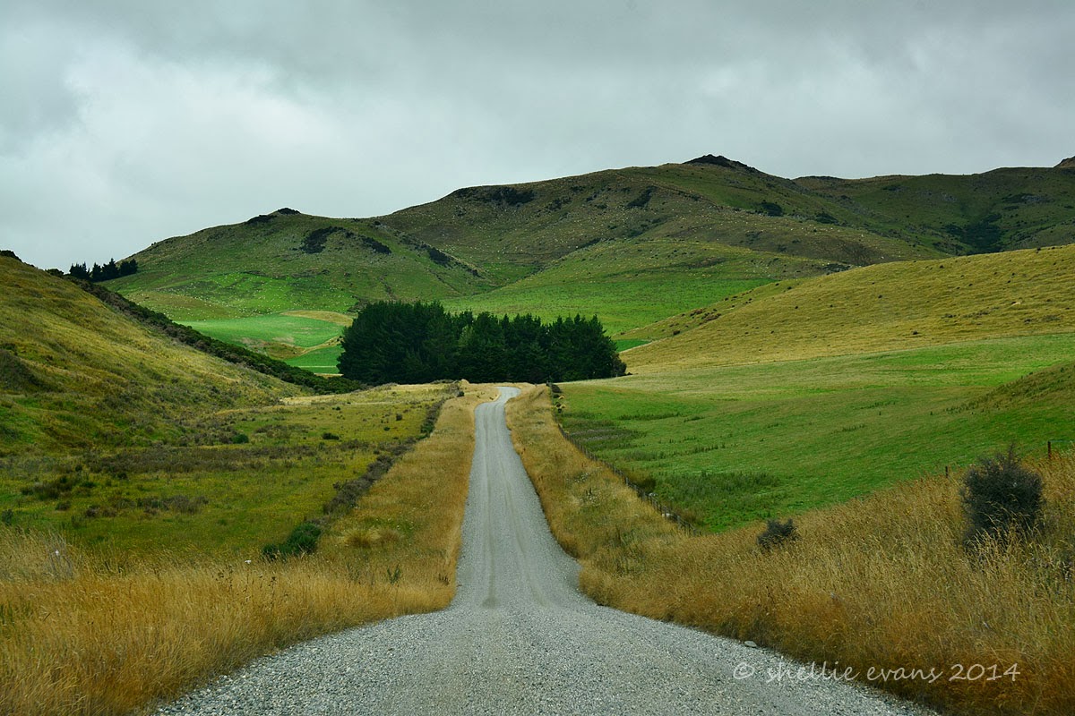 Two Go Tiki Touring: A Wet Week