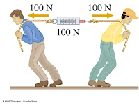 Fisica: Las Fuerzas: Fuerza Neta
