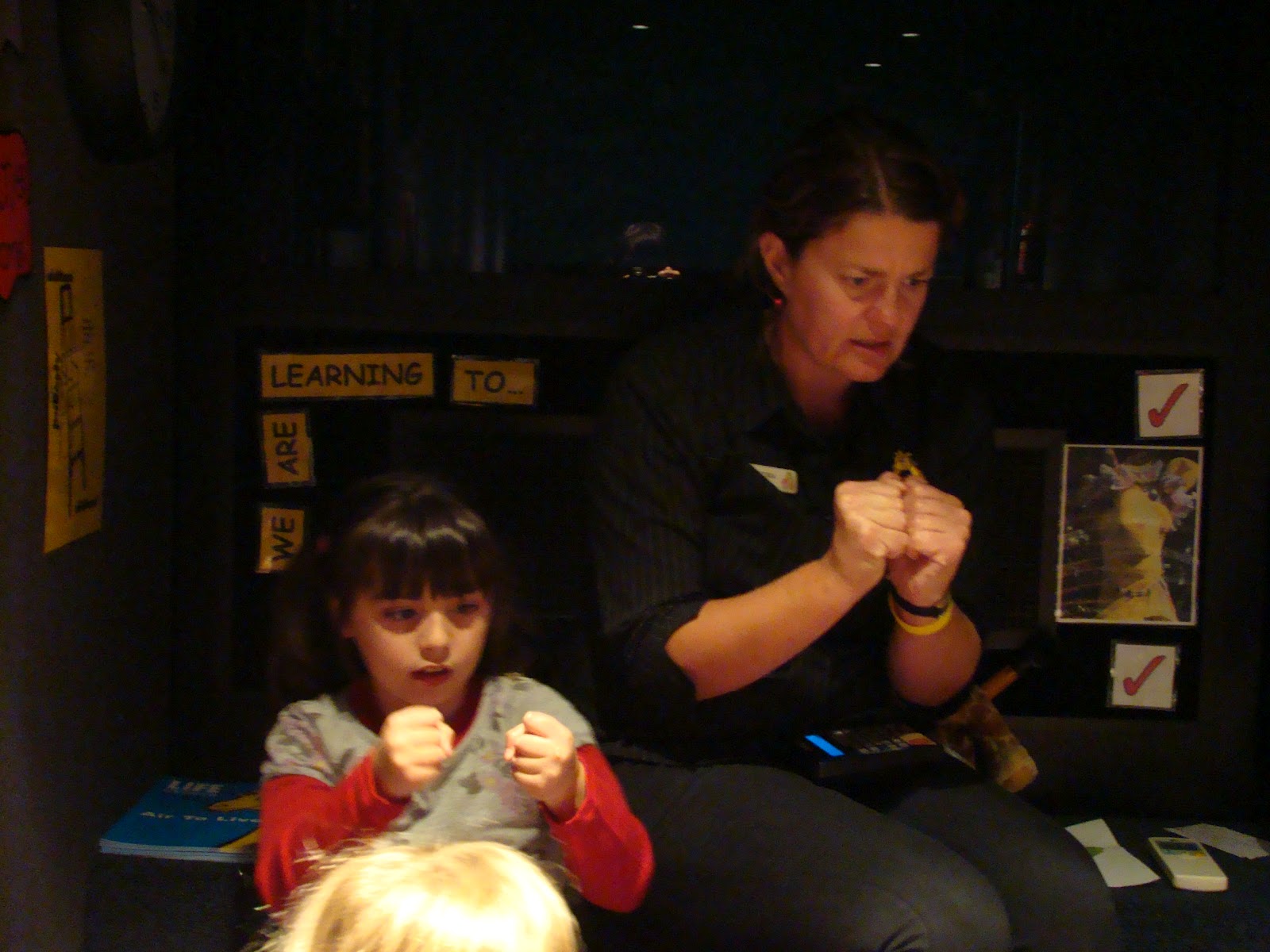 Rata Class: Life Education Bus with Harold