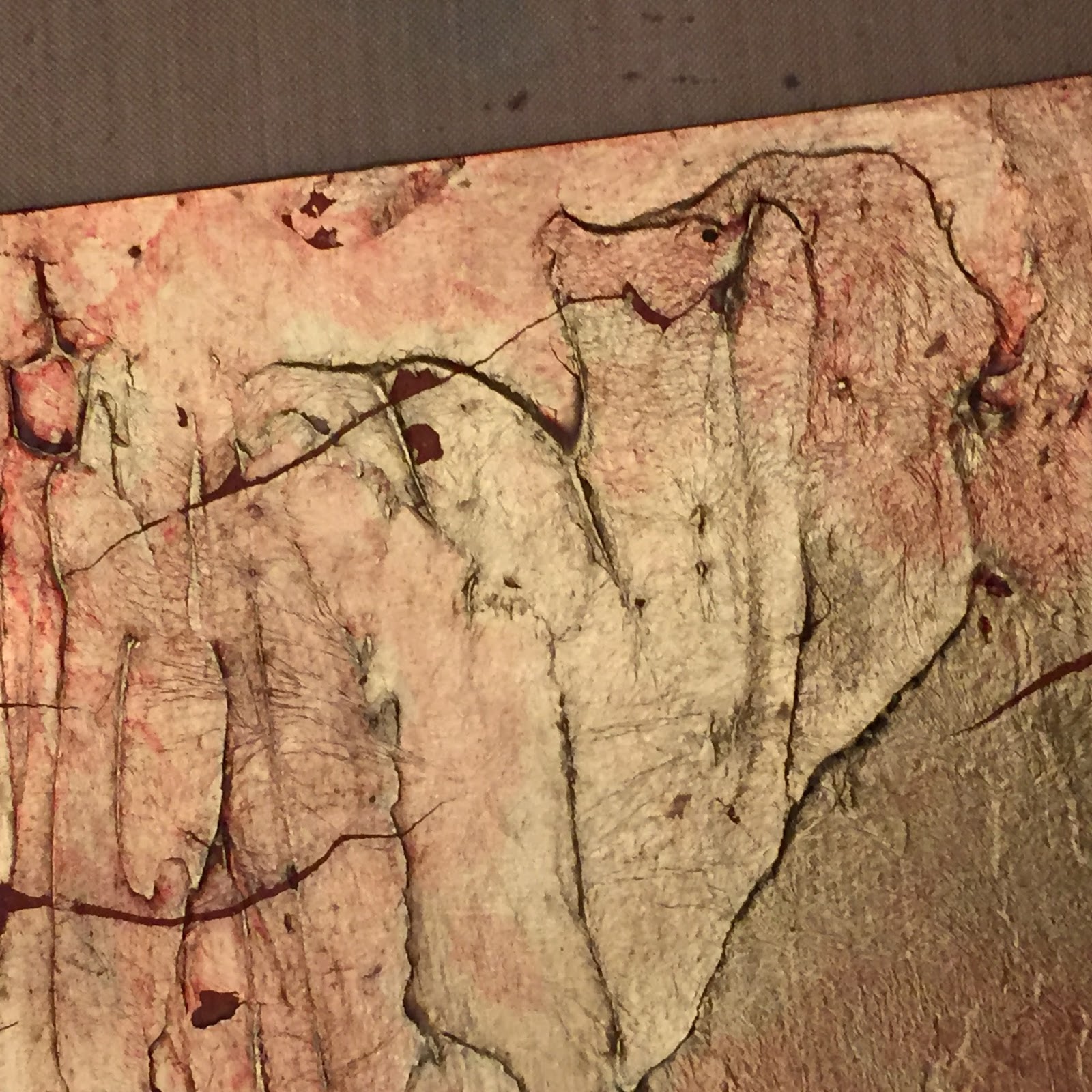 Experiments in Paper: Abstracted Light and Texture