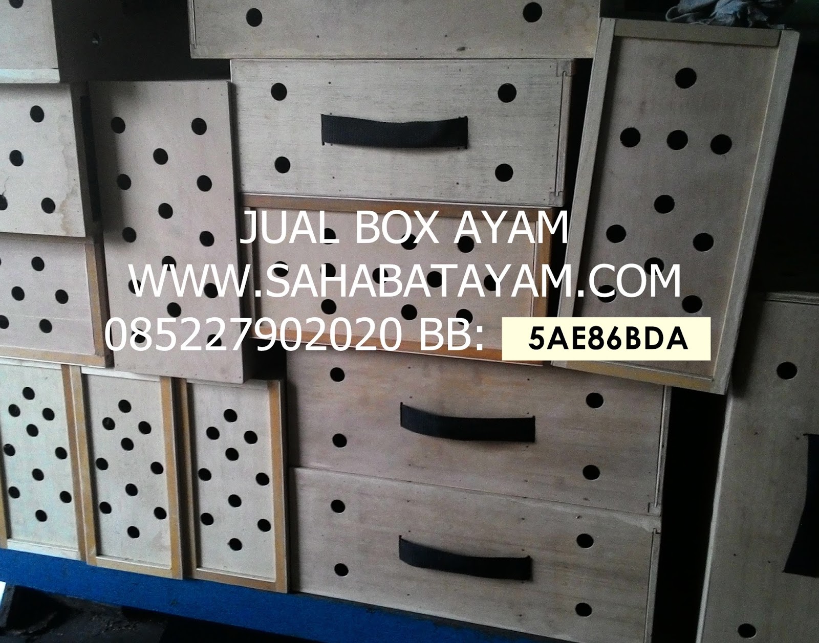JUAL BOX PENGIRIMAN AYAM BANGKOK: Box pengiriman ayam bangkok, contoh ...