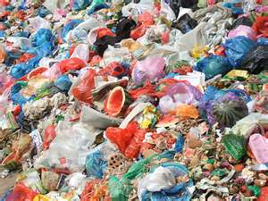 Top Teacher's Kinderland: Mystery Trash and a Freebie