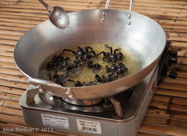 Moe and Irene's RTW blog: Fried Tarantula - A Delicacy