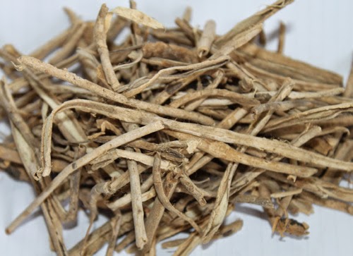 SMK Farmasi DIAI College: Februari 2015