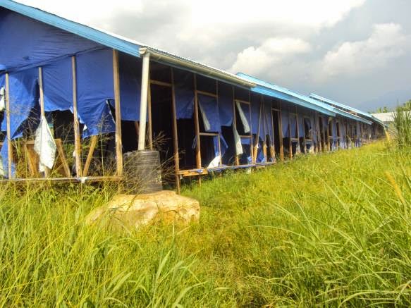 Enfants pour l'Avenir et le Développement "EADEV-RDC"