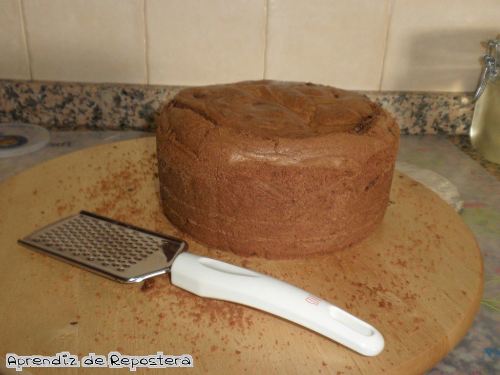 Aprendiz de Repostera: Madeira Sponge Cake de Chocolate