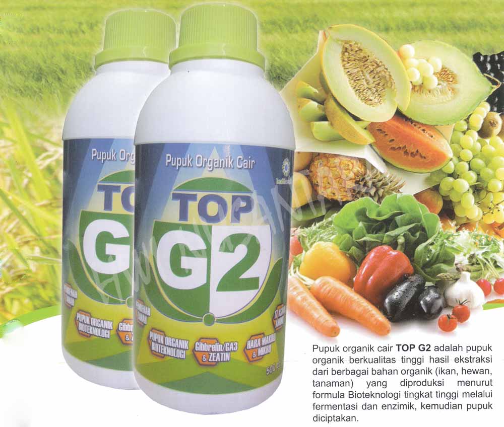 TOP G2 Pupuk organik cair | Wanita Cantik Mengkonsumsi Frutablend ...