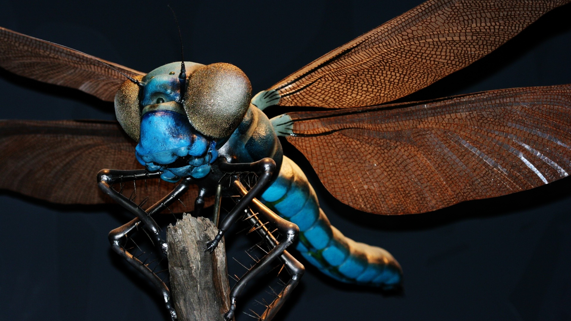 Metal Insect - High Definition Wallpapers - HD wallpapers