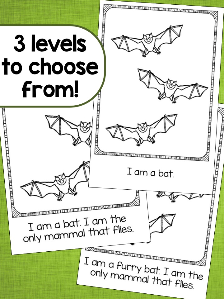 Batty Batty Bat Bat | The Barefoot Teacher