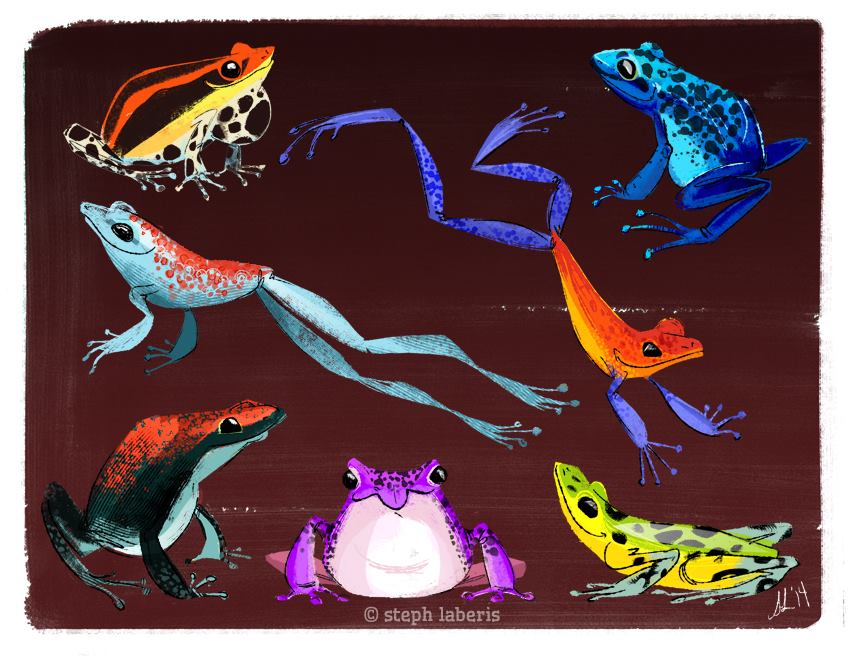 Behind the Scenes at Stuart Ng Books: Get Inspired -- Steph Laberis ...