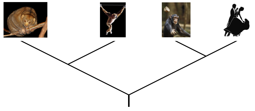 Synthetic Daisies: The Neuromechanics and Evolution of Very Slow Movements