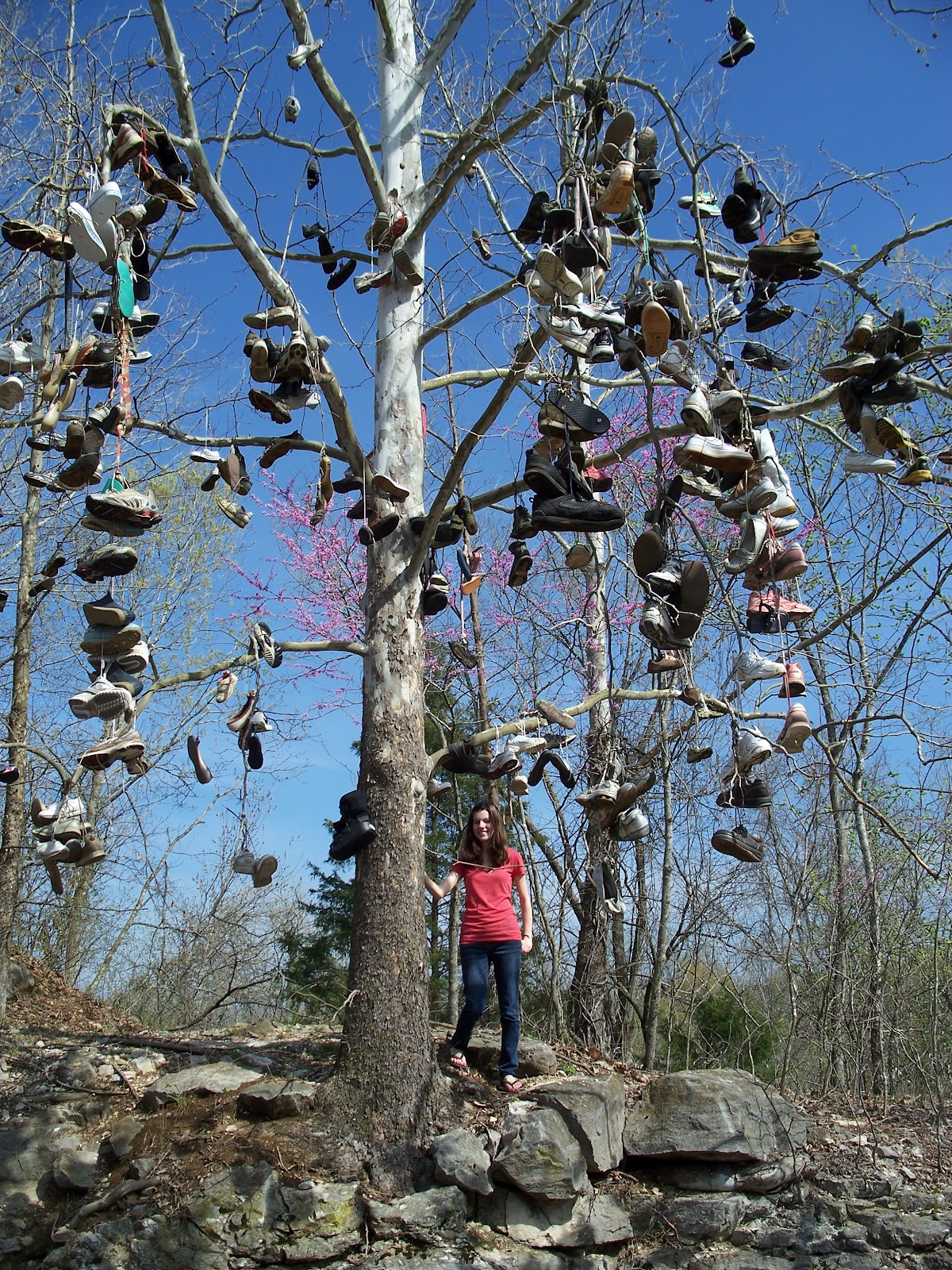Koogle's Korner: Shoe Tree