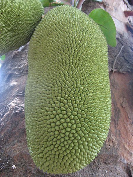 We love Our Bangladesh: Jackfruit (Kathal) -National Fruit of Bangladesh