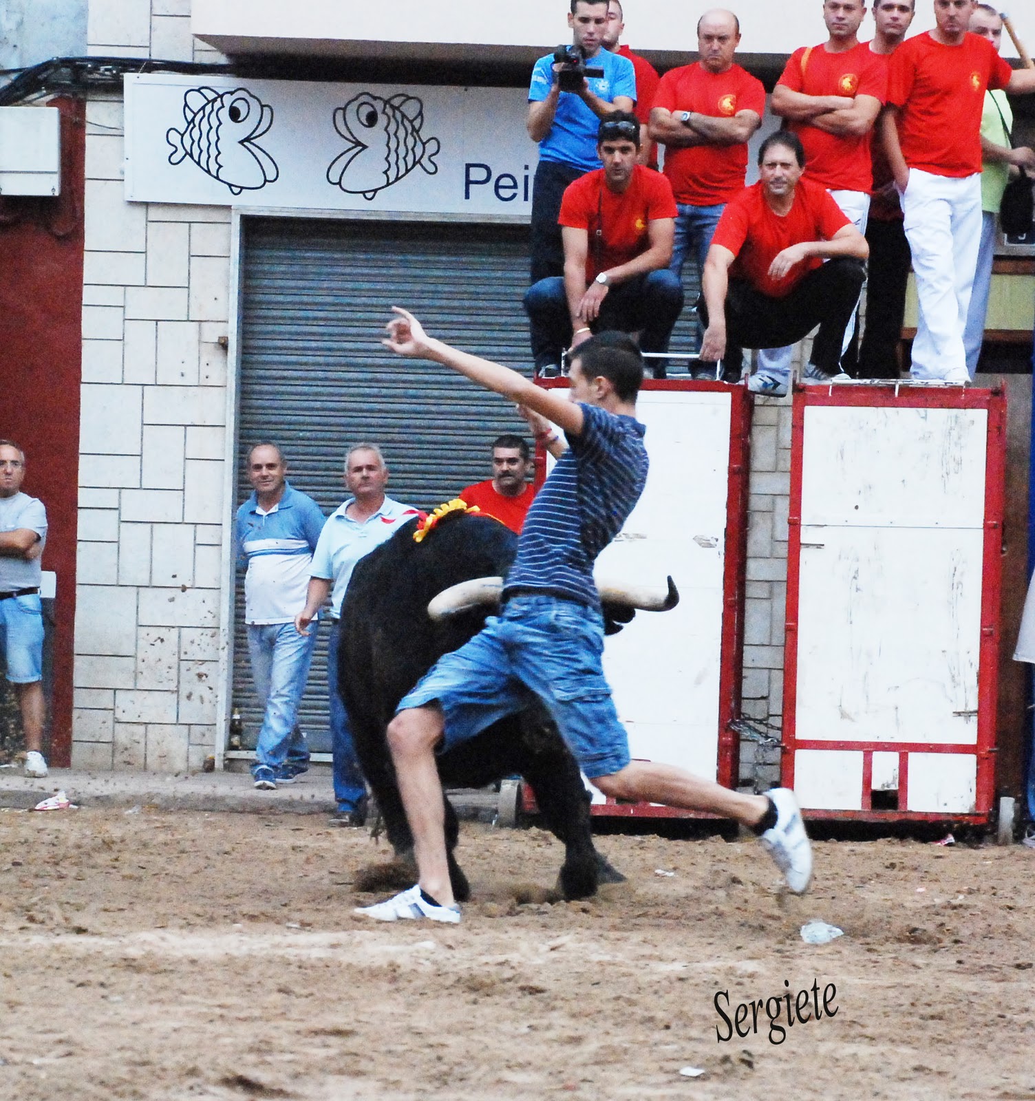 ESPAI TAURÍ: San Antonio, Moncofa