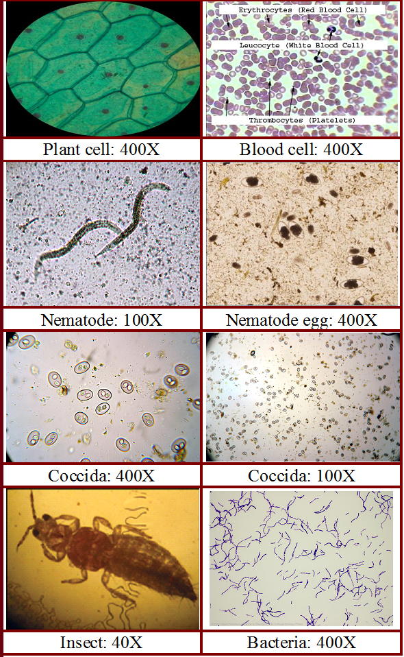 Suri's site.: April 2013